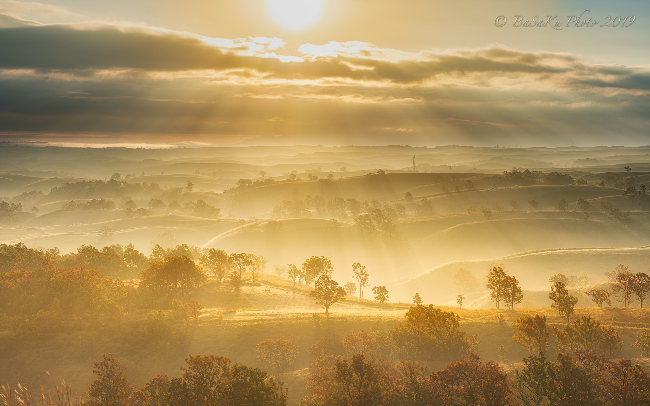 Introduction – Cut Out a Moment